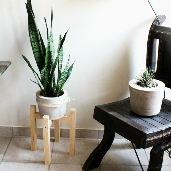 Cango Pot Plant Stand with Ceramic Pot • That Little Shop