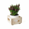 Single Birch Planter Box with Pot • That Little Shop