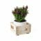 Single Birch Planter Box with Pot • That Little Shop