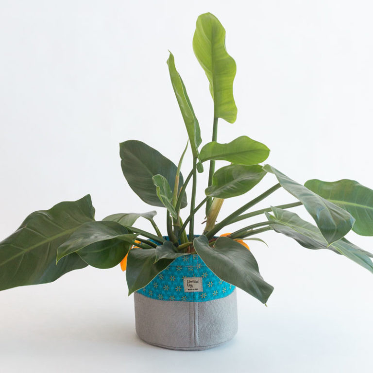 Triple Birch Planter Box (with pots) • That Little Shop